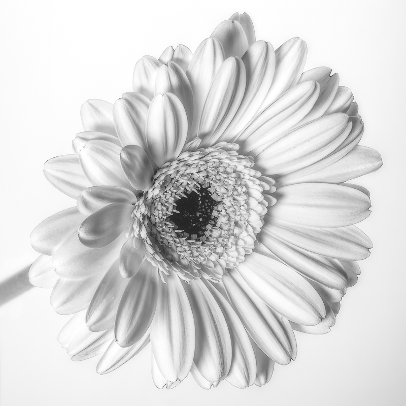 Simon Lupton Photography - Based in Lancashire, UK